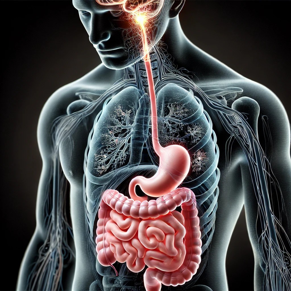 How Gut Health Affects Your Overall Well-being – Complete Chiropractic